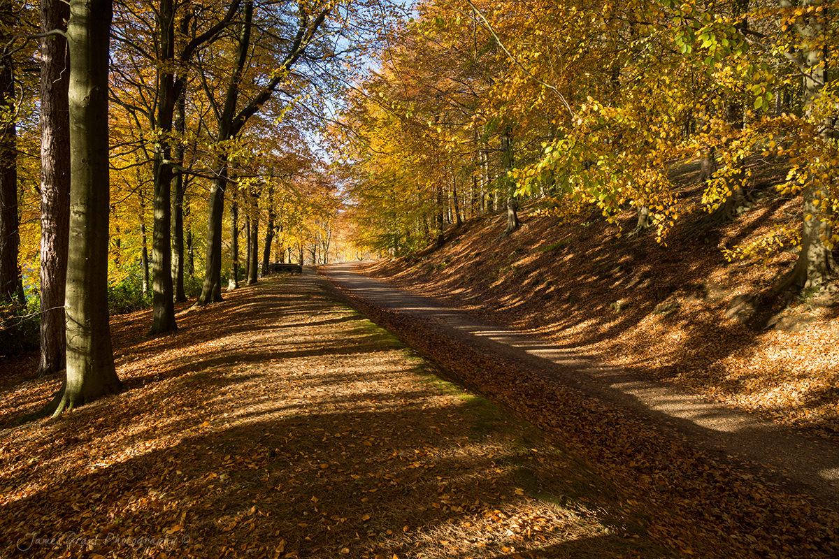 Autumn in the Peak District - Peak District Photography - James Grant