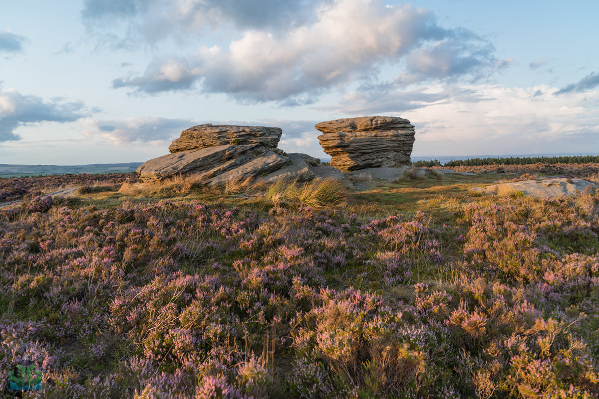 Ox Stones on Burbage Moor by James Grant Photography